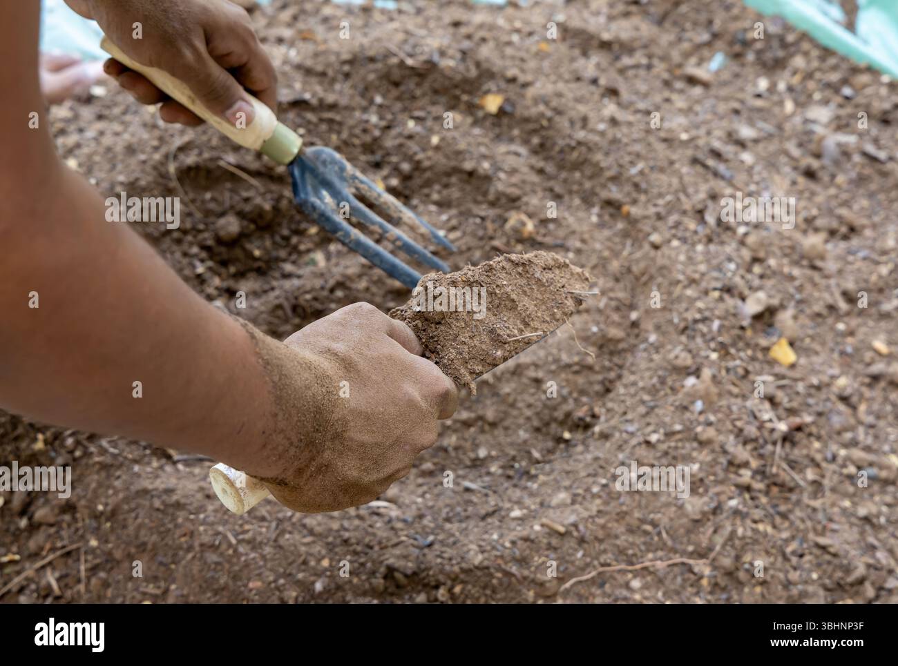 Vermicompost organic fertilizer nutrient hi-res stock photography and images - Alamy