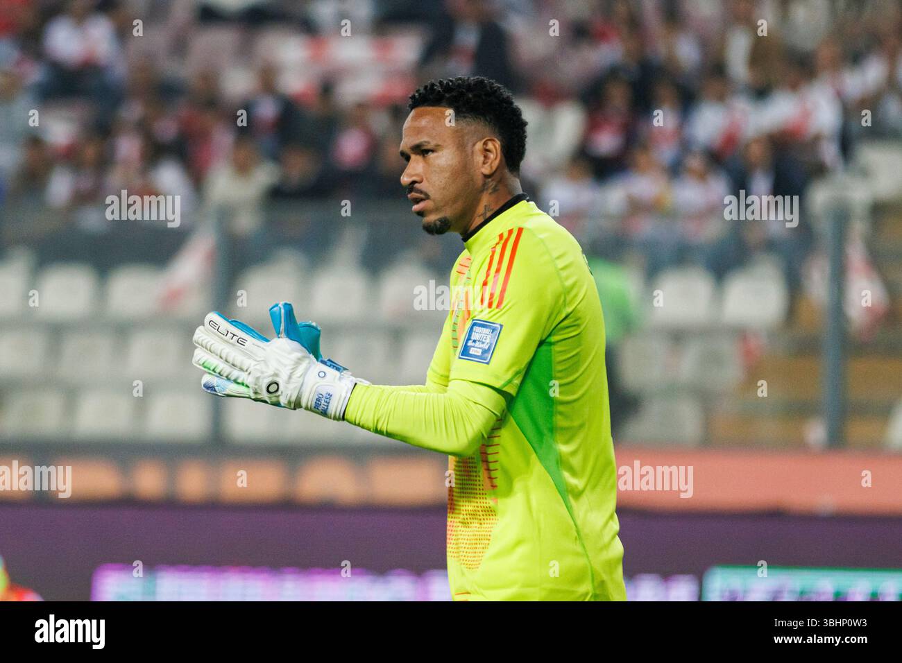 Lima, Peru - June 10: Goalkeeper Pedro Gallese of Peru looks on during ...