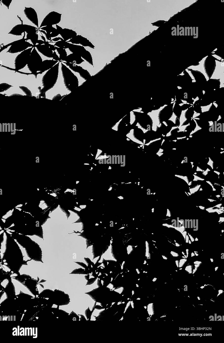 Urban atmosphere night Black and White Stock Photos & Images - Alamy