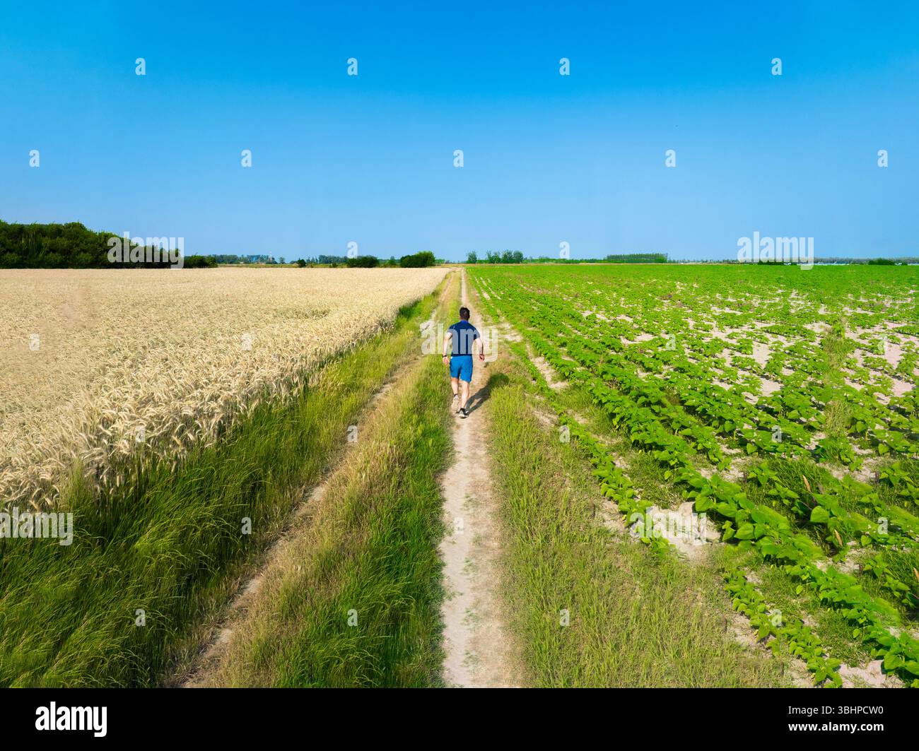 A man running through a beautiful field Stock Photo - Alamy
