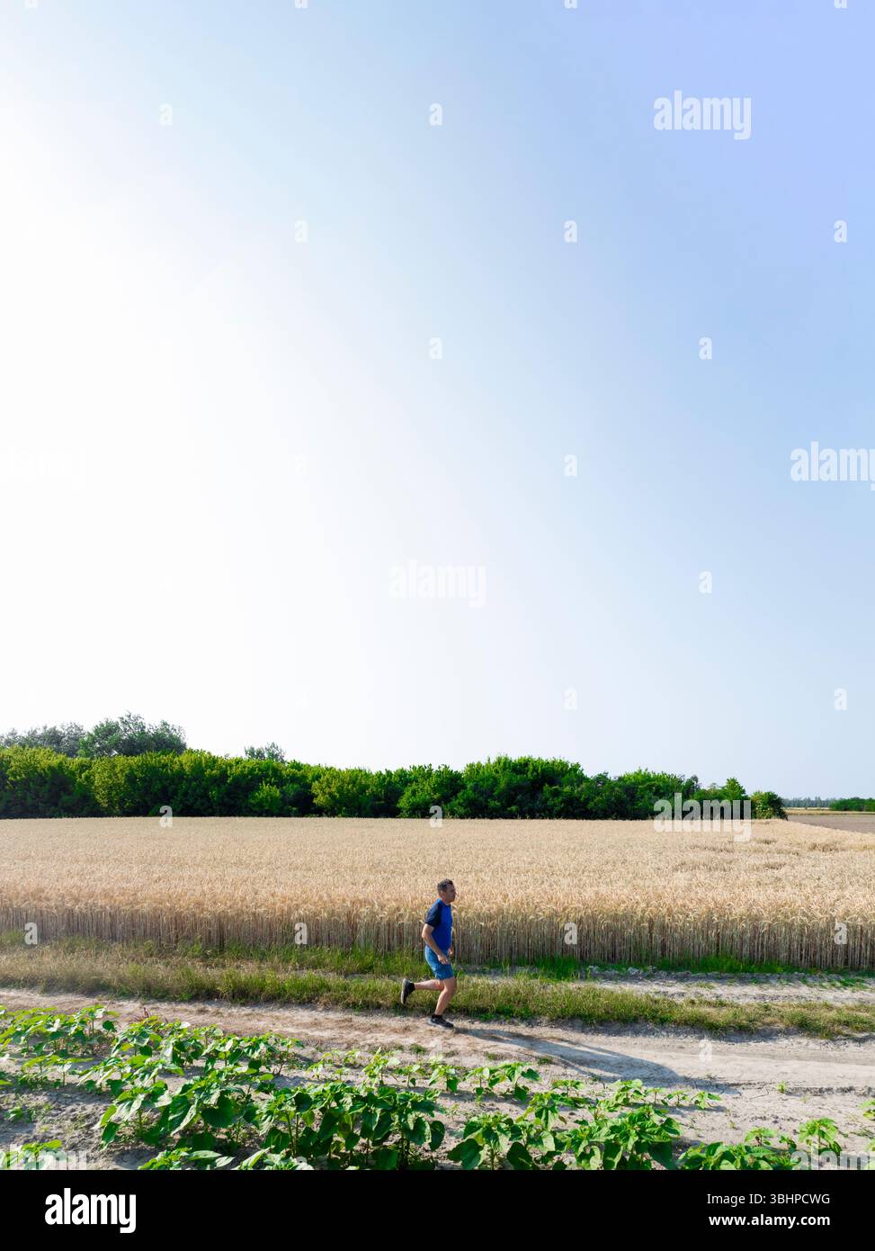 Healthy running runner man hi-res stock photography and images - Alamy