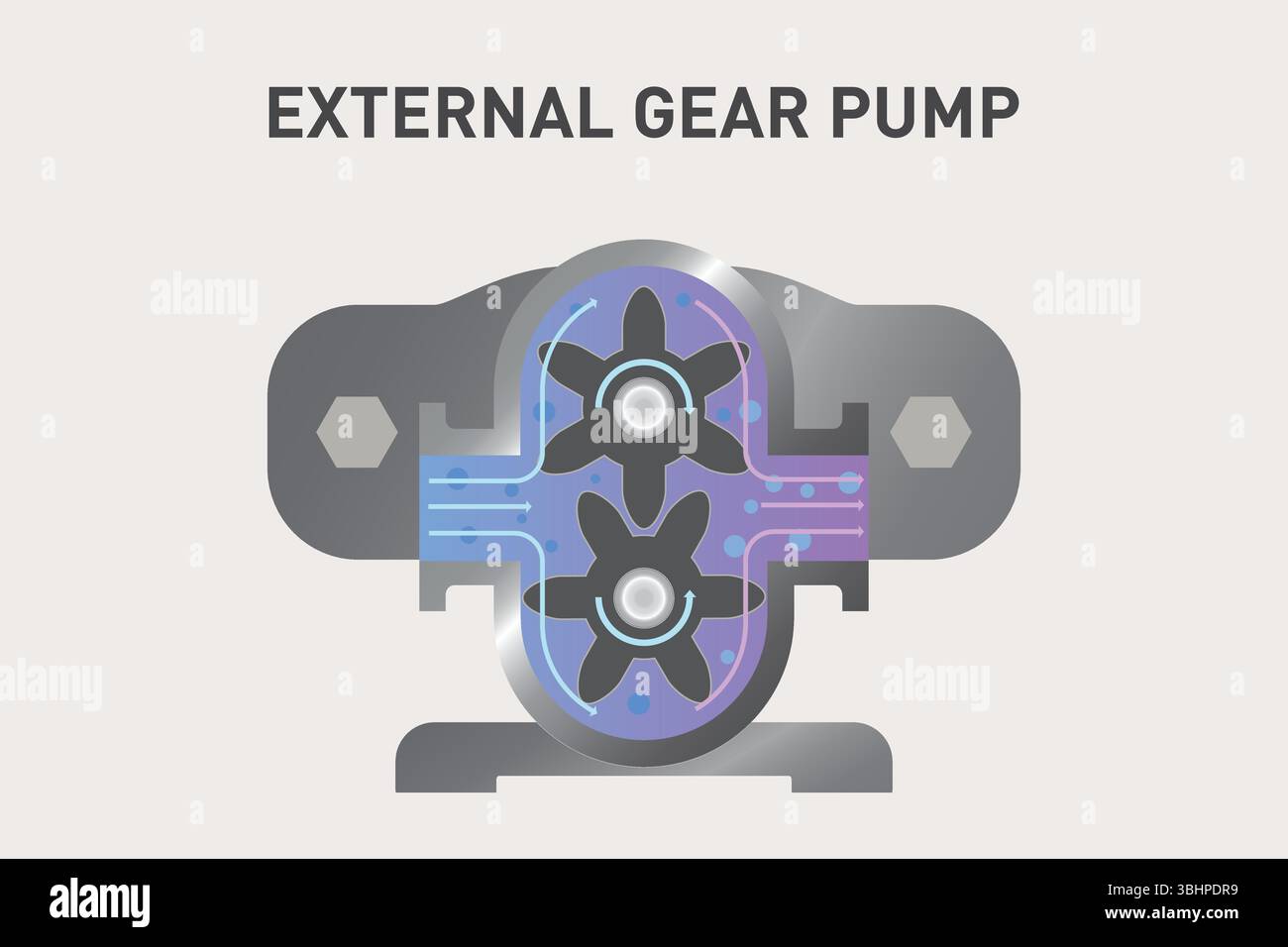 2D Vector Illustration of External Gear Pump – Front Section View for ...