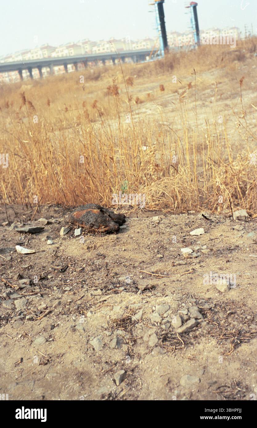 Construction versus decay hi-res stock photography and images - Alamy