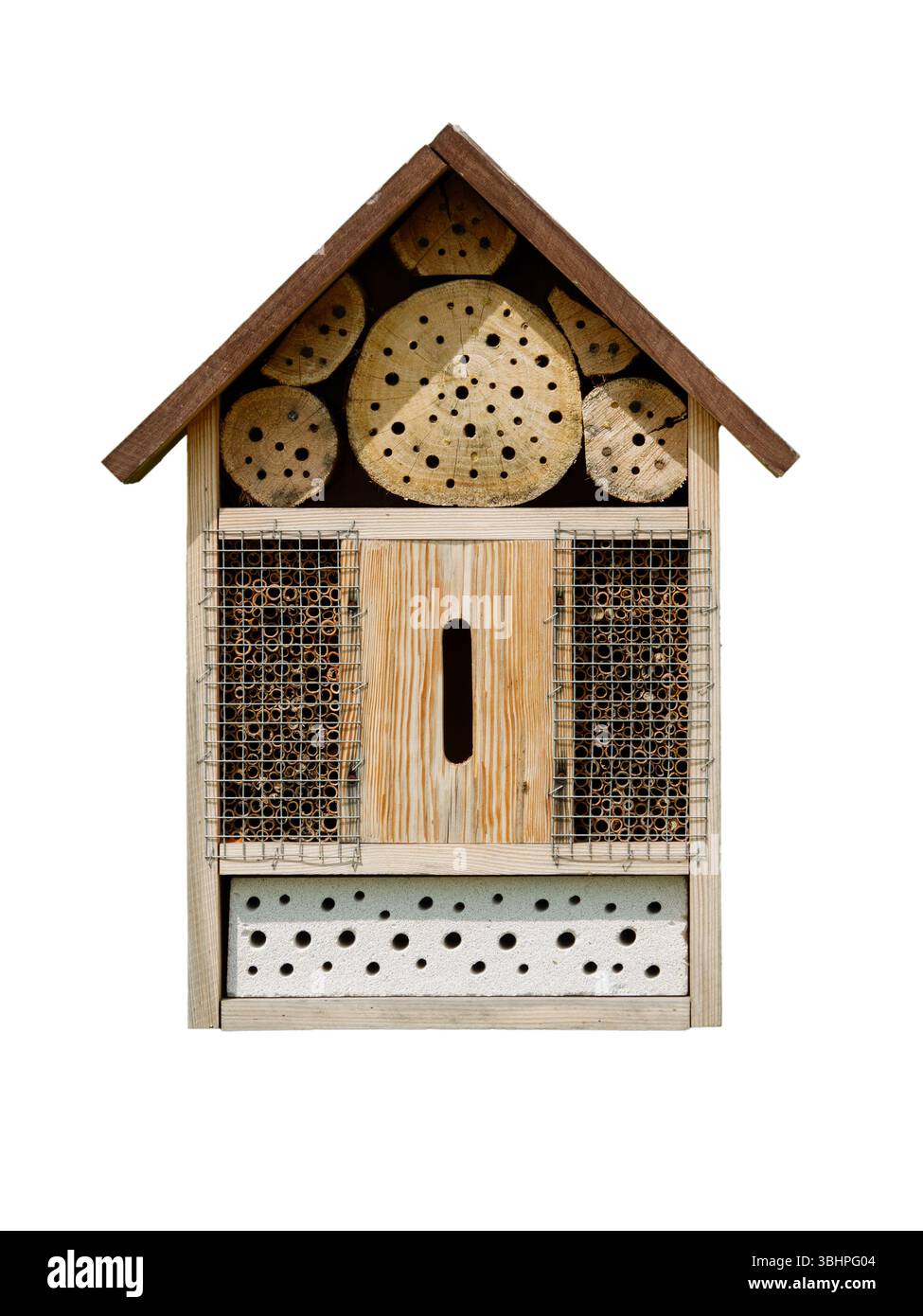 Insects architecture Cut Out Stock Images & Pictures - Alamy