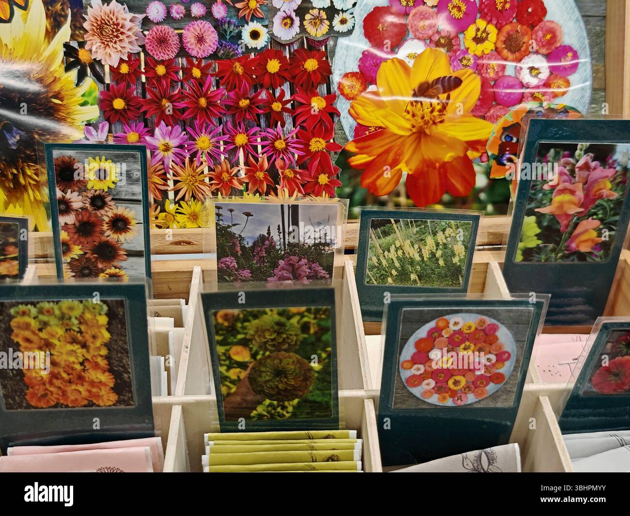 Seeds are embryonic plants protected by outer covering Seeds protected ...