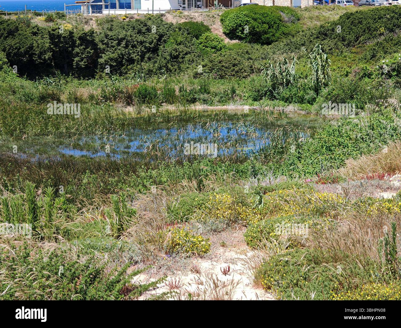 retention basin in flood protection, preventive measure against natural ...