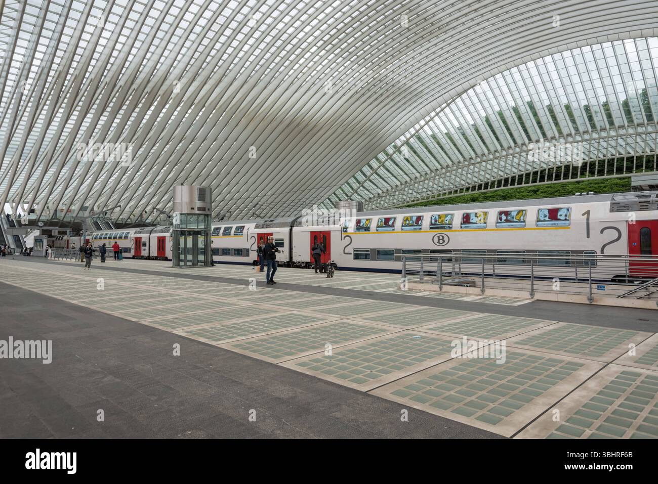 Bahnhof Liege-Guillemins von Santiago Calatrava // Liege-Guillemins ...