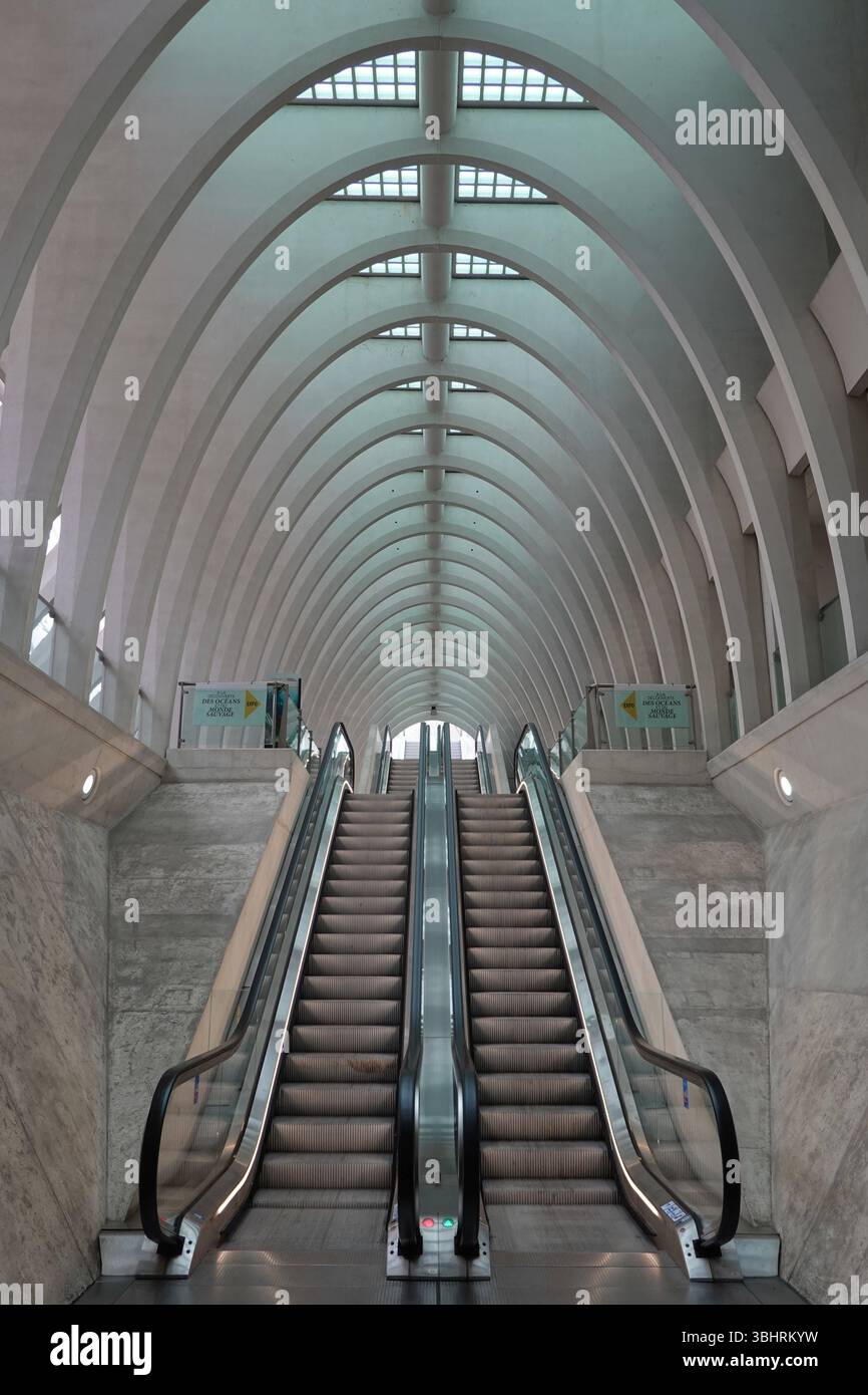 Bahnhof Liege-Guillemins von Santiago Calatrava // Liege-Guillemins ...