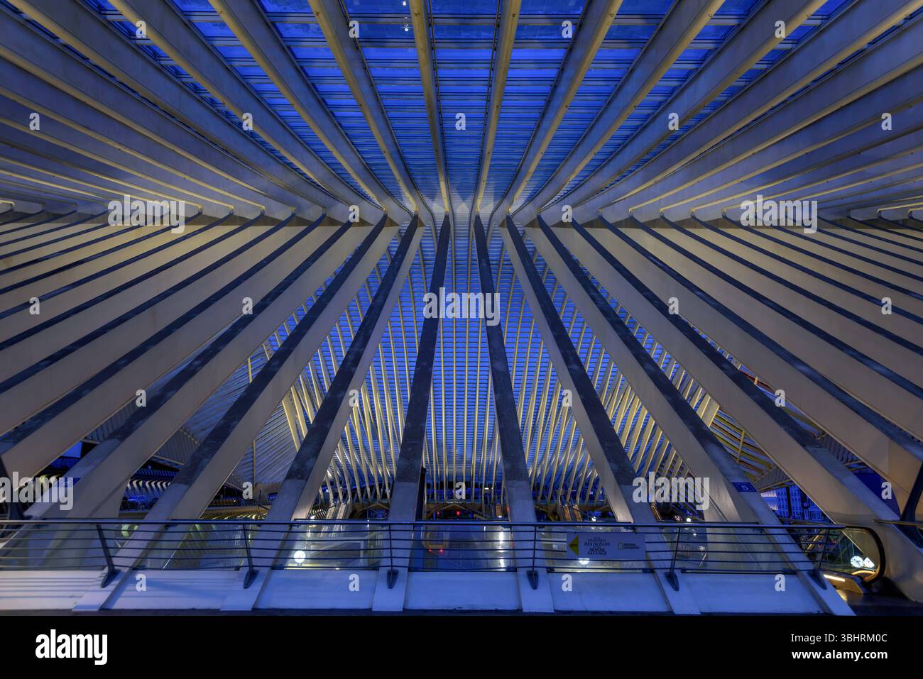 Bahnhof Liege-Guillemins von Santiago Calatrava // Liege-Guillemins ...