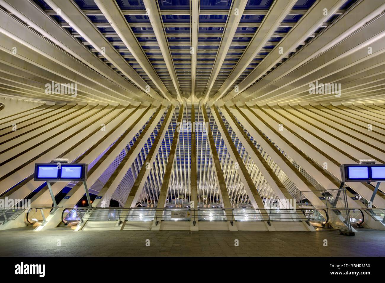 Bahnhof Liege-Guillemins von Santiago Calatrava // Liege-Guillemins ...
