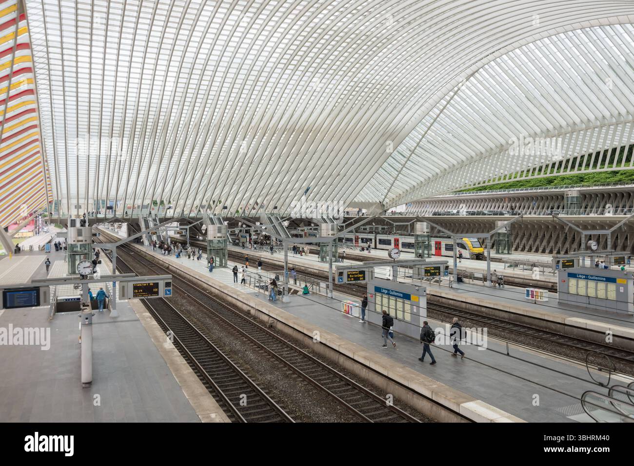 Bahnhof Liege-Guillemins von Santiago Calatrava // Liege-Guillemins ...