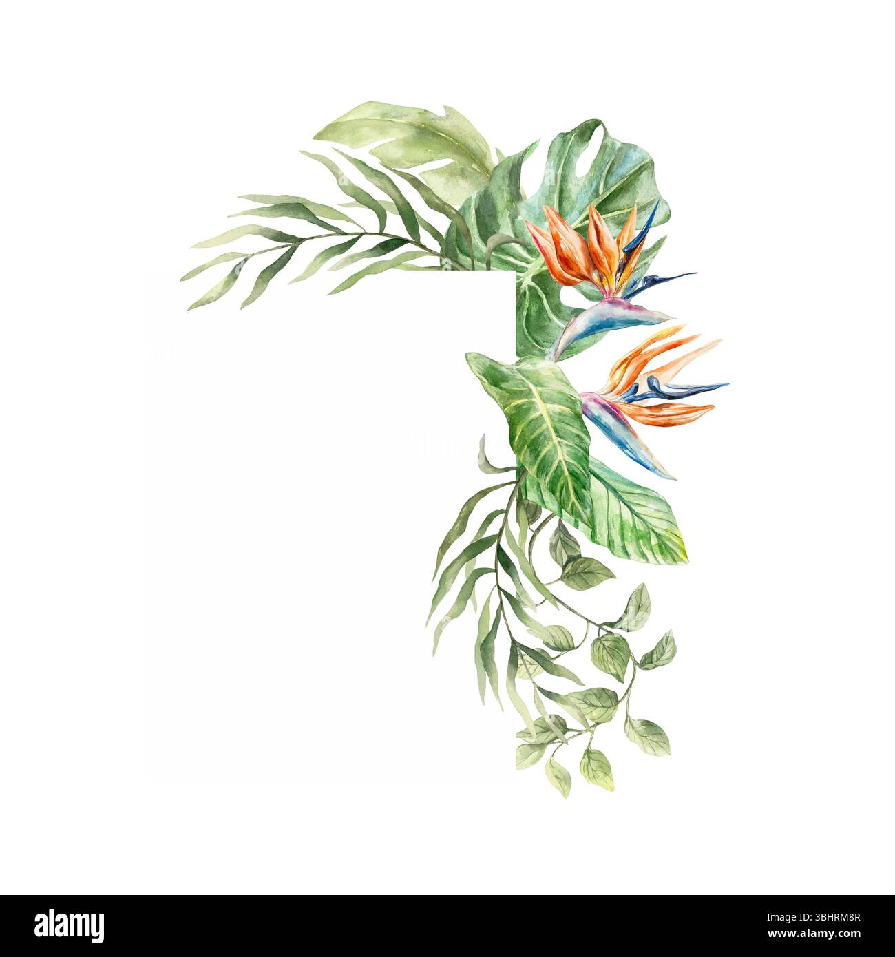 Tropical corner frame with monstera leaves, palm trees, strelitzia ...