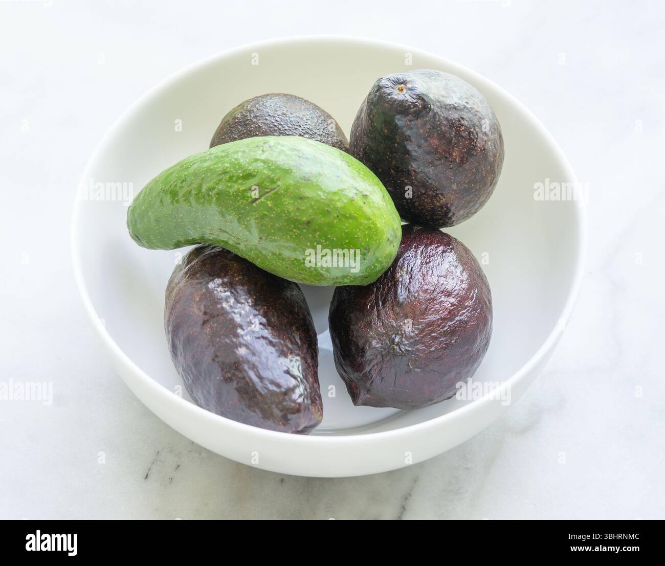 Avocado composition hi-res stock photography and images - Alamy