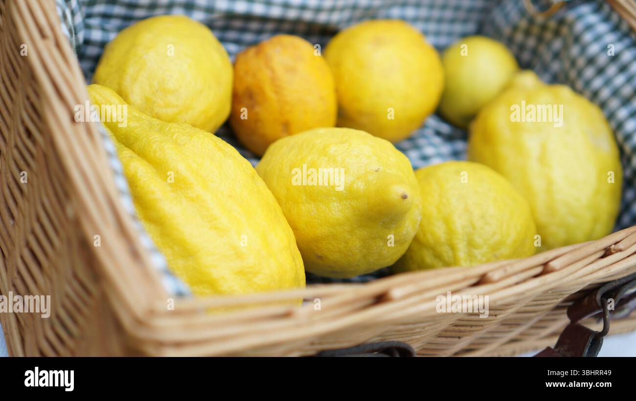 A variety of yellow lemons, including large and small sizes, are ...