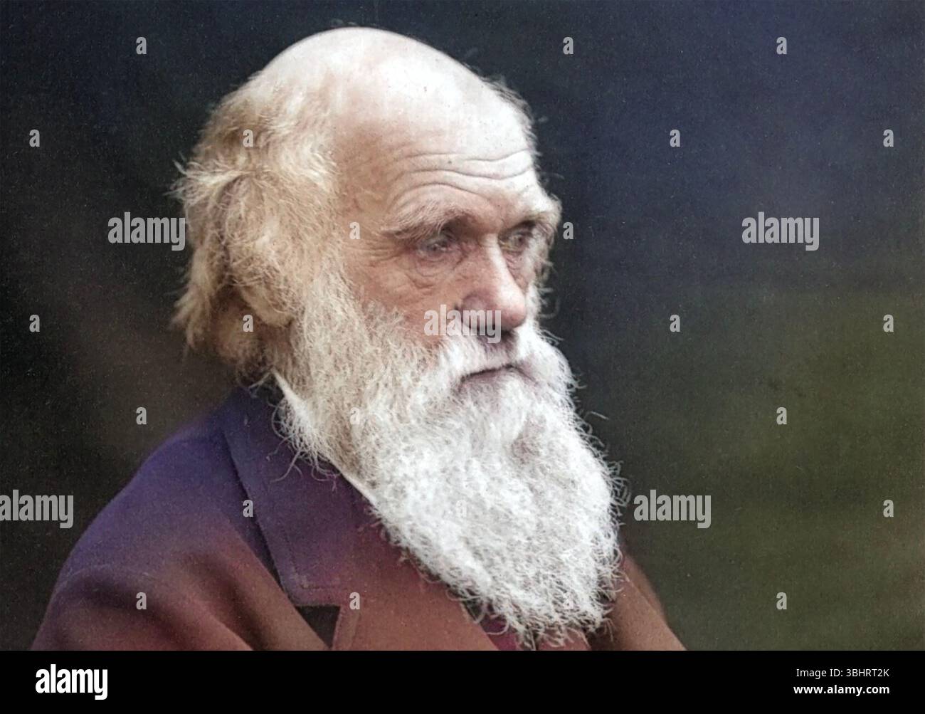 CHARLES DARWIN (1809-1882) English biologist and naturalist by taken by ...