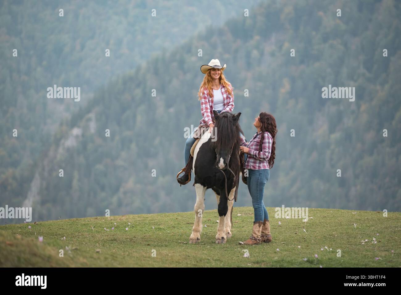 Woman rider mounts horse hi-res stock photography and images - Alamy