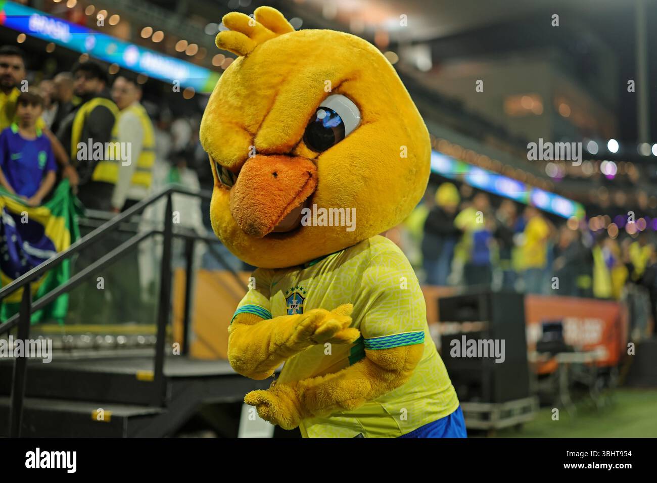 Soccer brazil mascot canary hi-res stock photography and images - Alamy