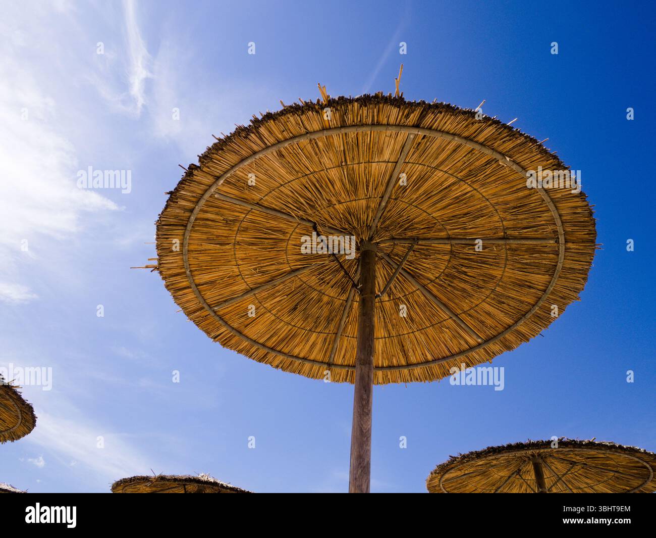 Woven beach umbrella in focus with multiple parasols behind. Sunny ...