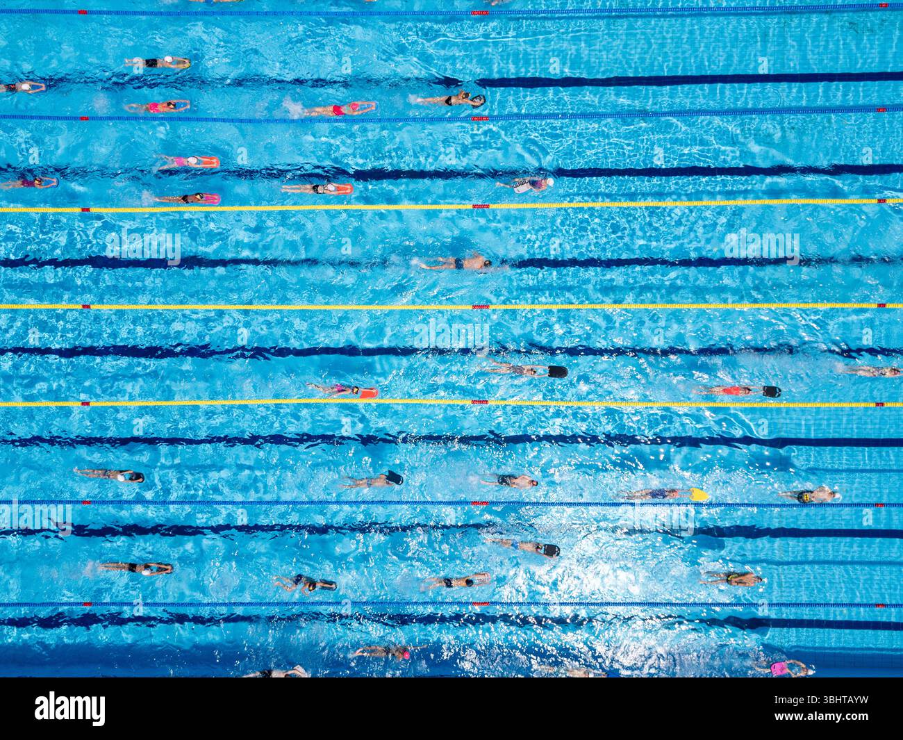 Top-down aerial view of swimmers training in an Olympic-size pool ...