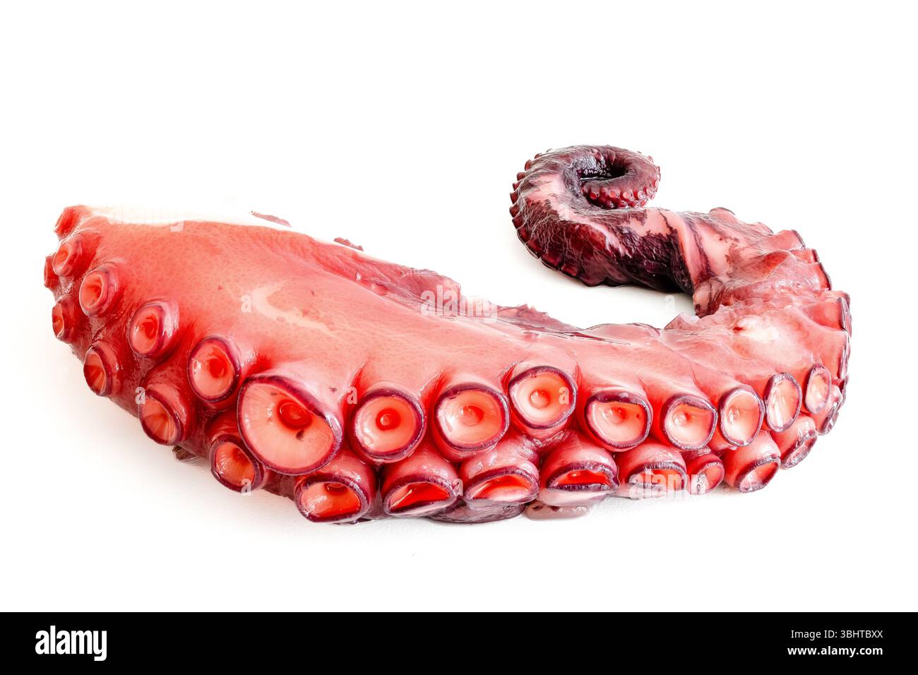 Octopus tentacles food Cut Out Stock Images & Pictures - Alamy