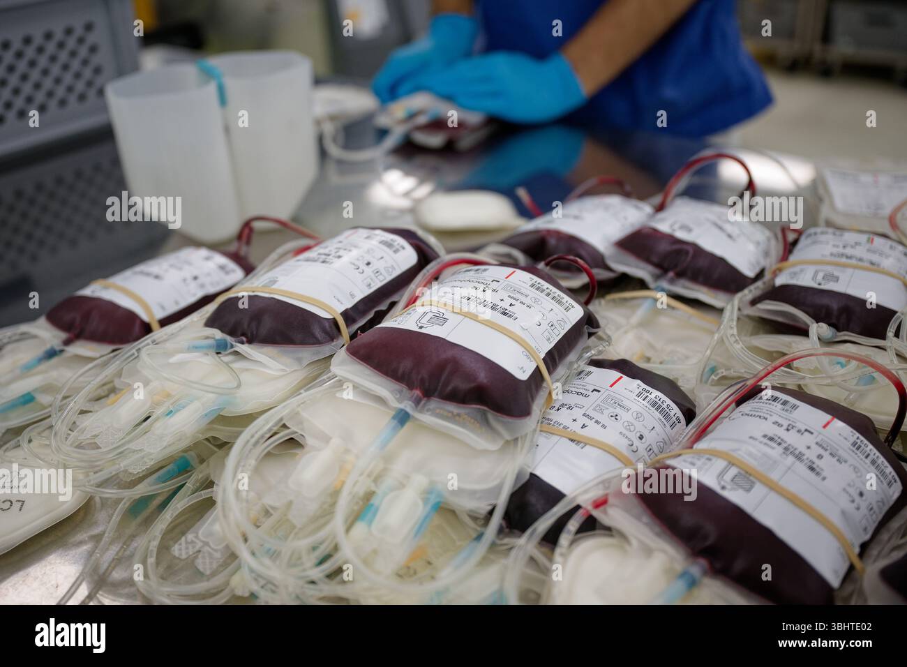 Hagen, Germany. 11th June, 2025. An employee prepares bags of blood ...