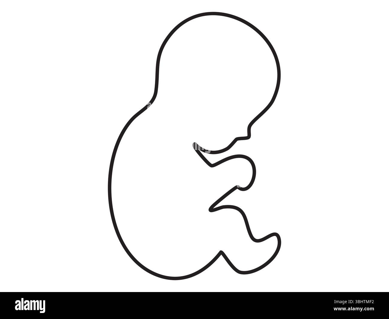 Minimalist black outline icon of unborn baby fetus in curled position isolated on white ...