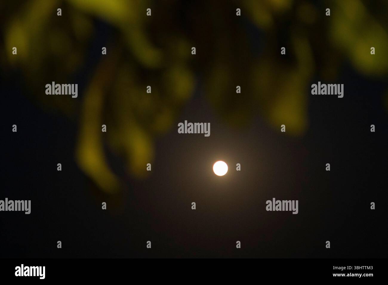 Srinagar, India. 11th June, 2025. The Strawberry Moon rises over the ...