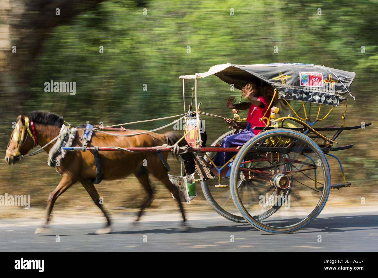Greetings from the passing horse and cart, Myanmar, Burma, Southeast ...