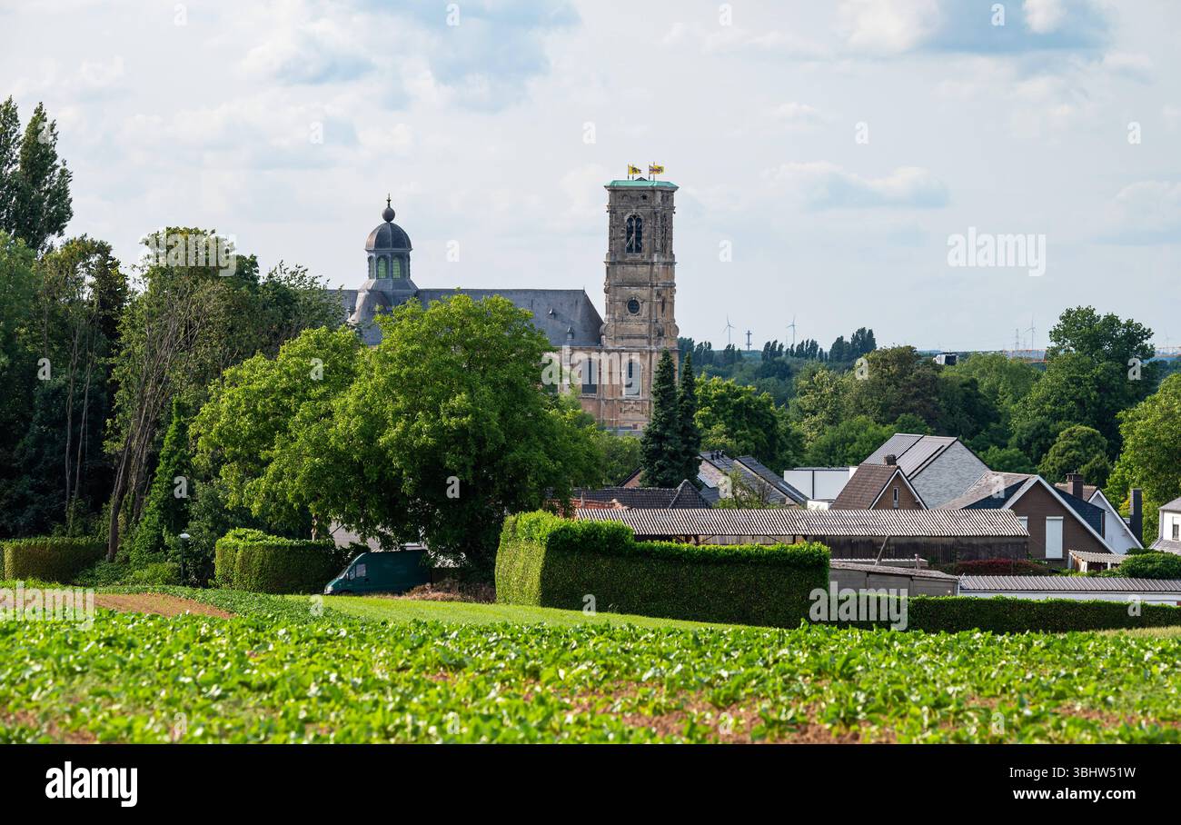 Landscape view over green fields and the Abbey tower of Grimbergen ...