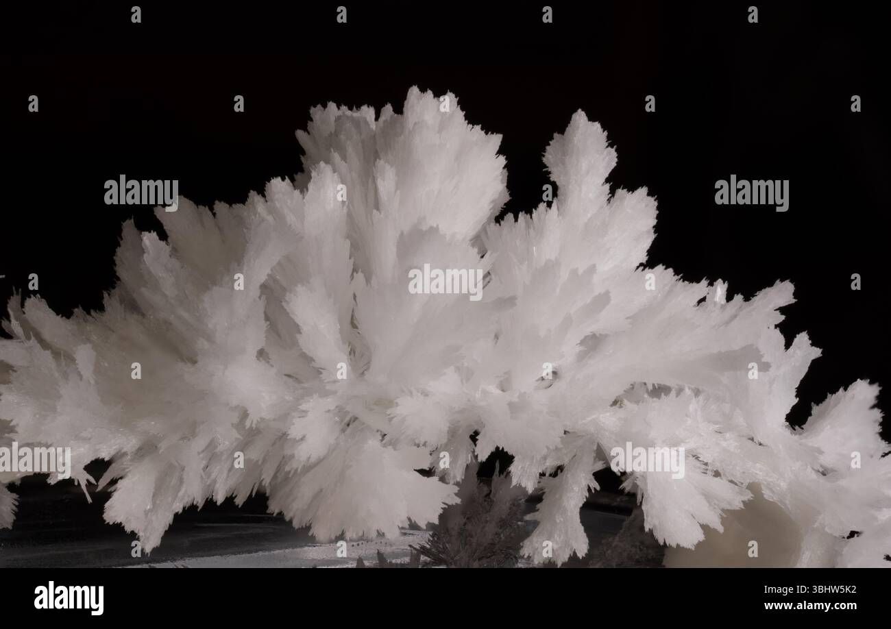 The photo shows a snow-white crystal resembling feathers or snowflakes ...