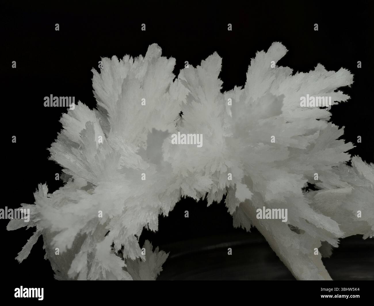 The photo shows a snow-white crystal resembling feathers or snowflakes ...