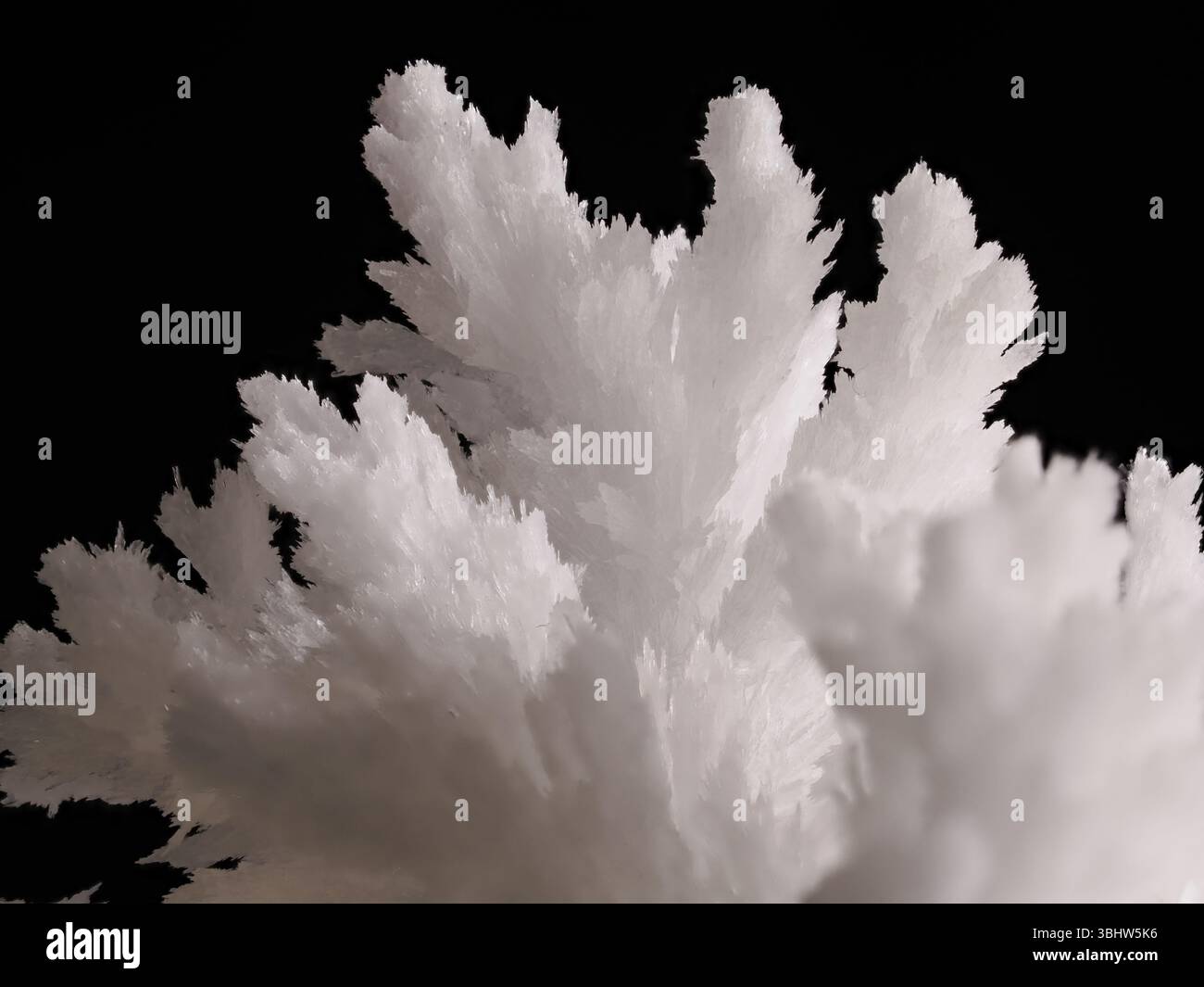 The photo shows a snow-white crystal resembling feathers or snowflakes ...