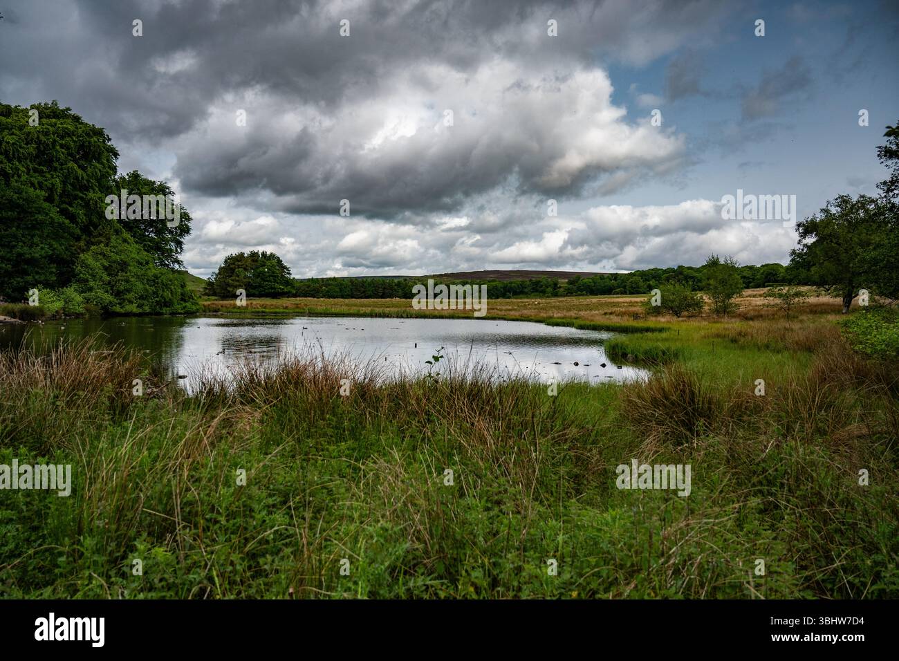 Longshaw estate sheffield hi-res stock photography and images - Alamy