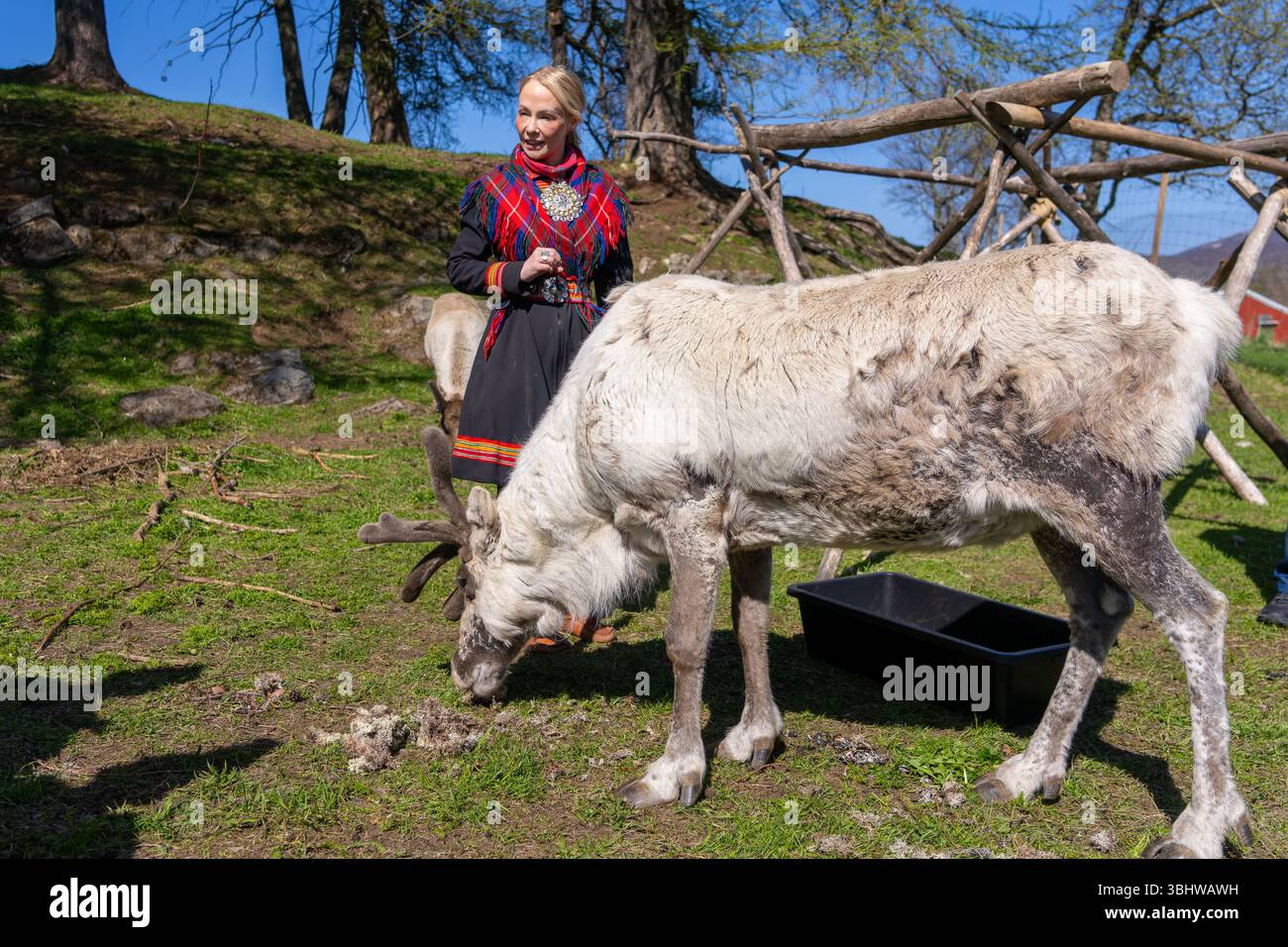 Sami woman traditional dress hi-res stock photography and images - Alamy