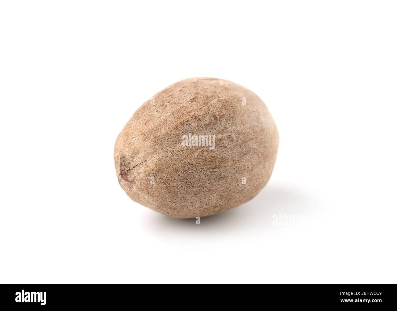 One whole fresh nutmeg isolated on white Stock Photo - Alamy