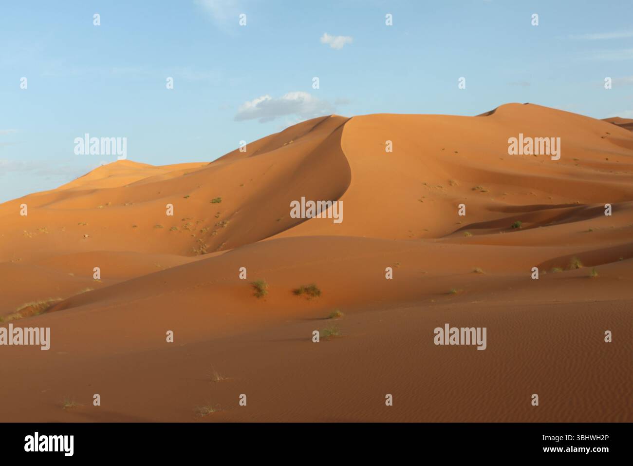 Rolling sand dunes stretch hi-res stock photography and images - Alamy