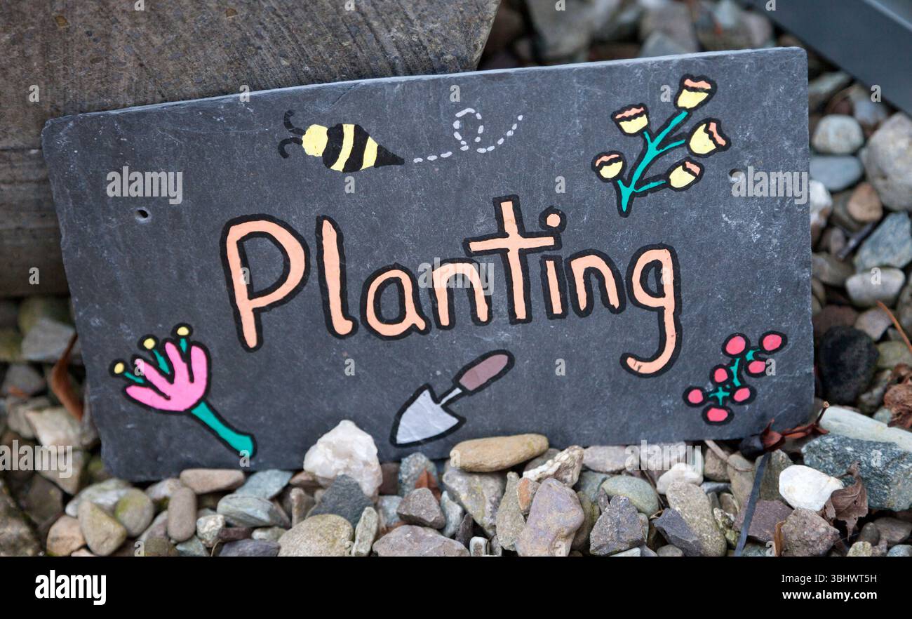 Planting in slate hi-res stock photography and images - Alamy