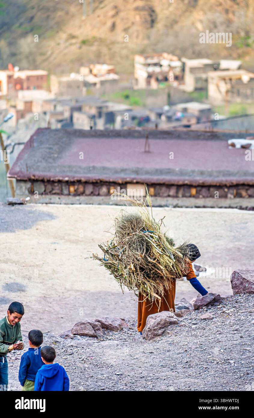 A local woman carries a large bundle of sticks on her back in a village ...