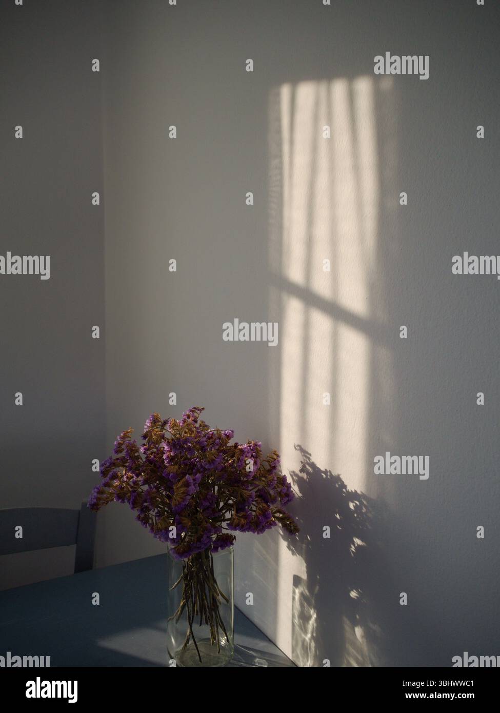 Cozy Mediterranean still life with dried flowers and soft tones Stock ...