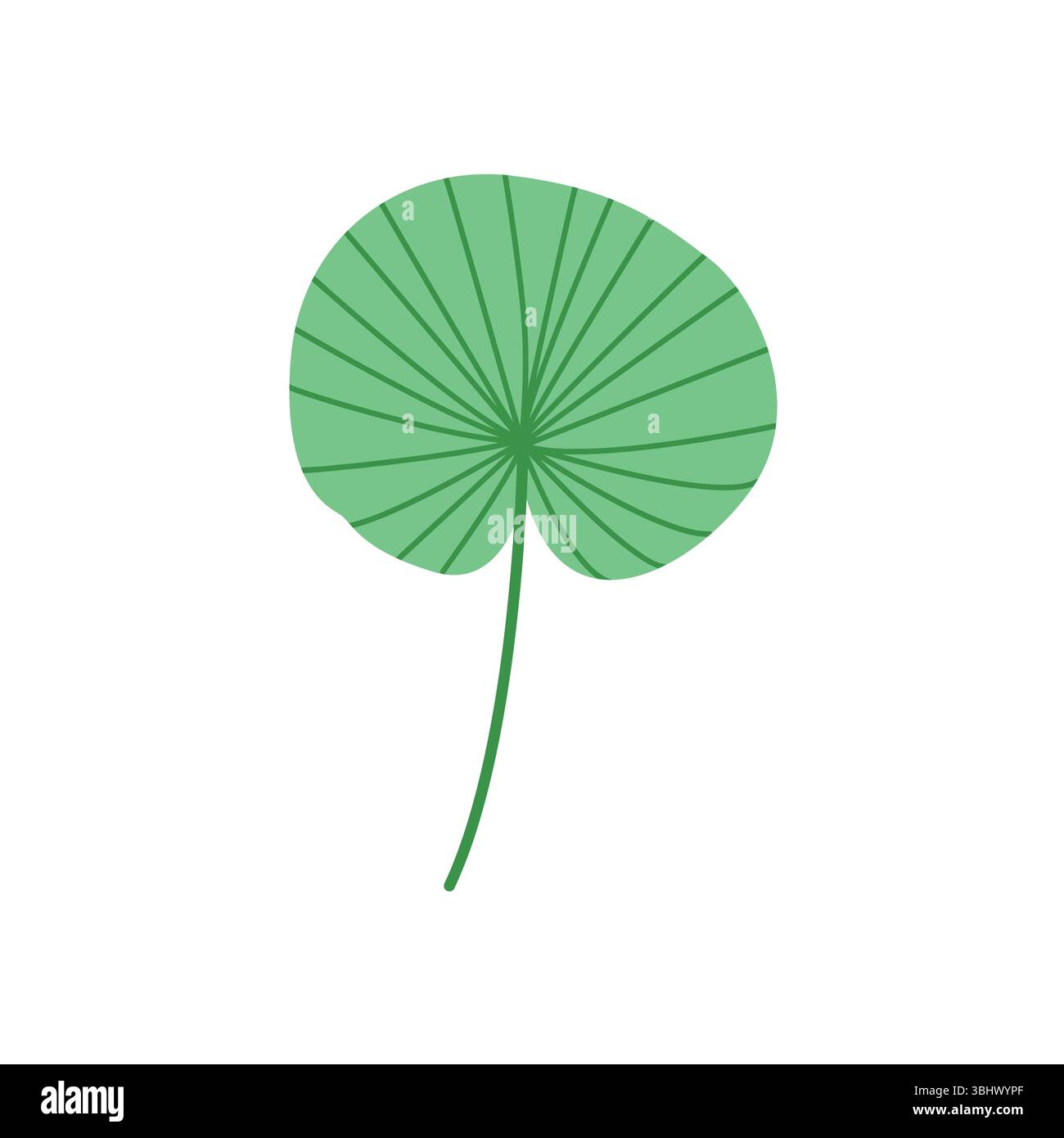 Lotus Style Tropical Leaf Green Botanical Vector Illustration Stock ...