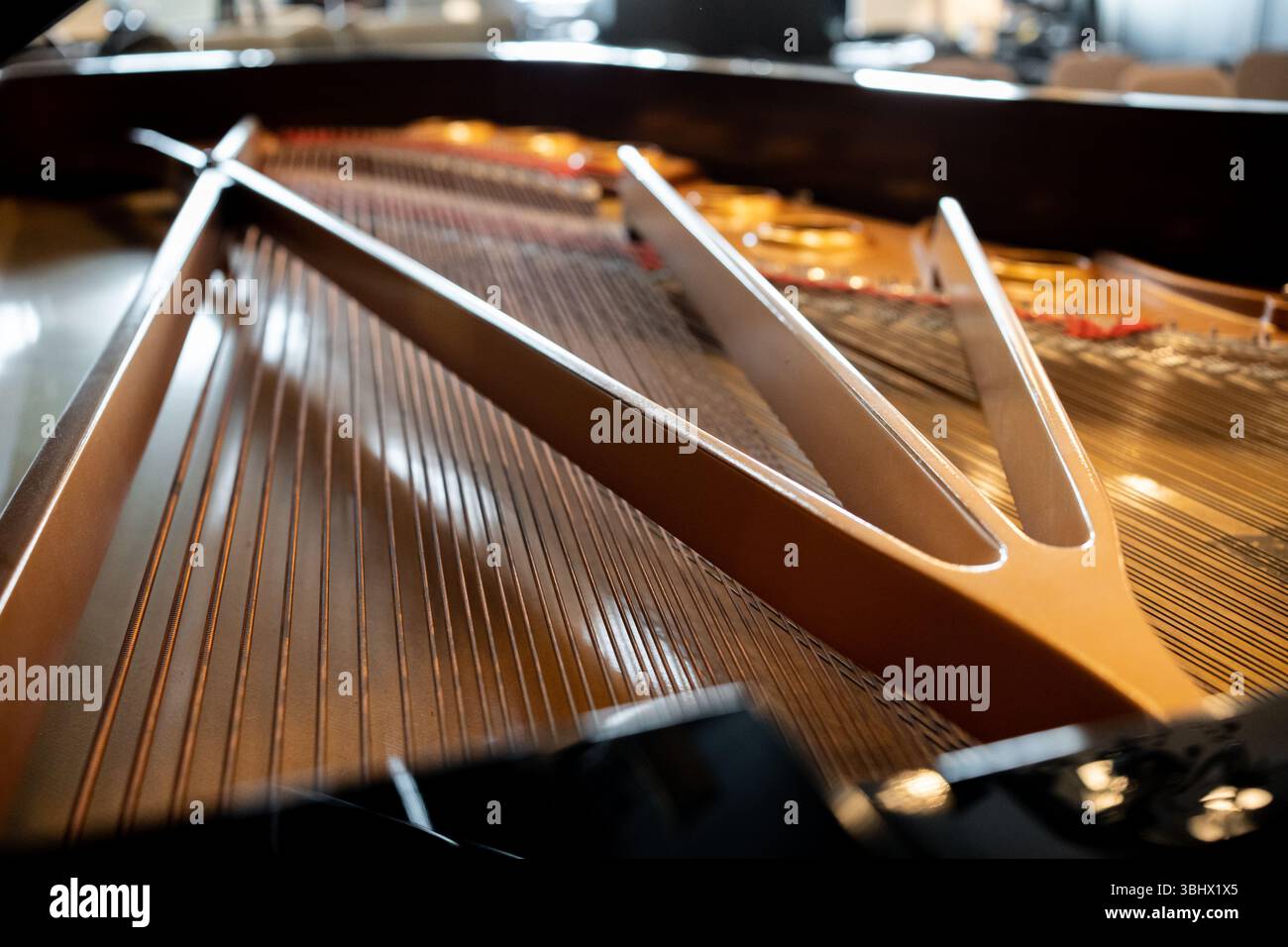 Close-up of the inside of a grand piano revealing the soundboard ...