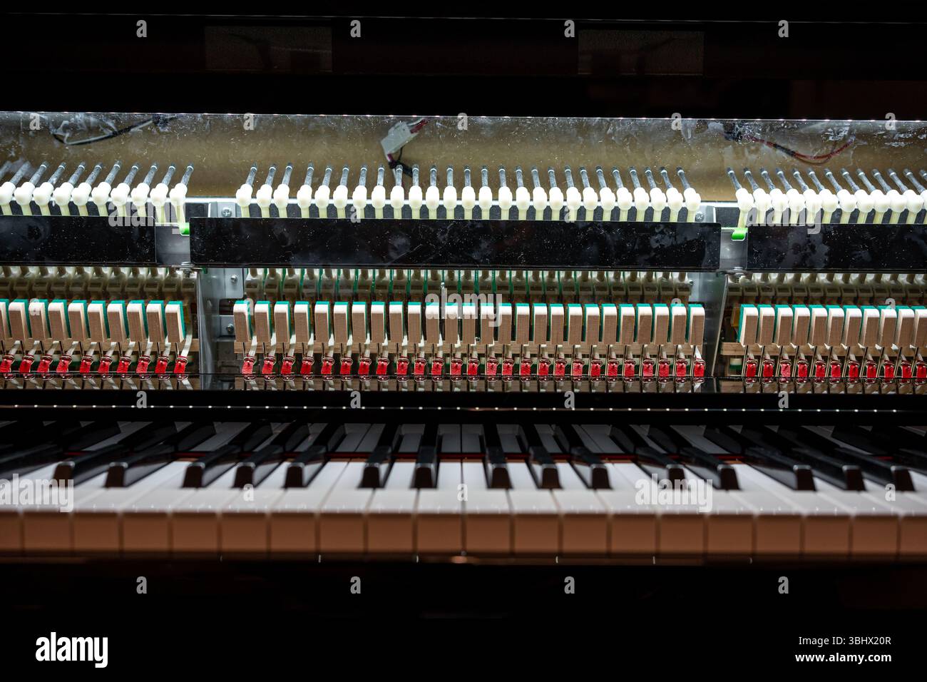 Internal mechanism of a grand piano, highlighting hammers and keys ...