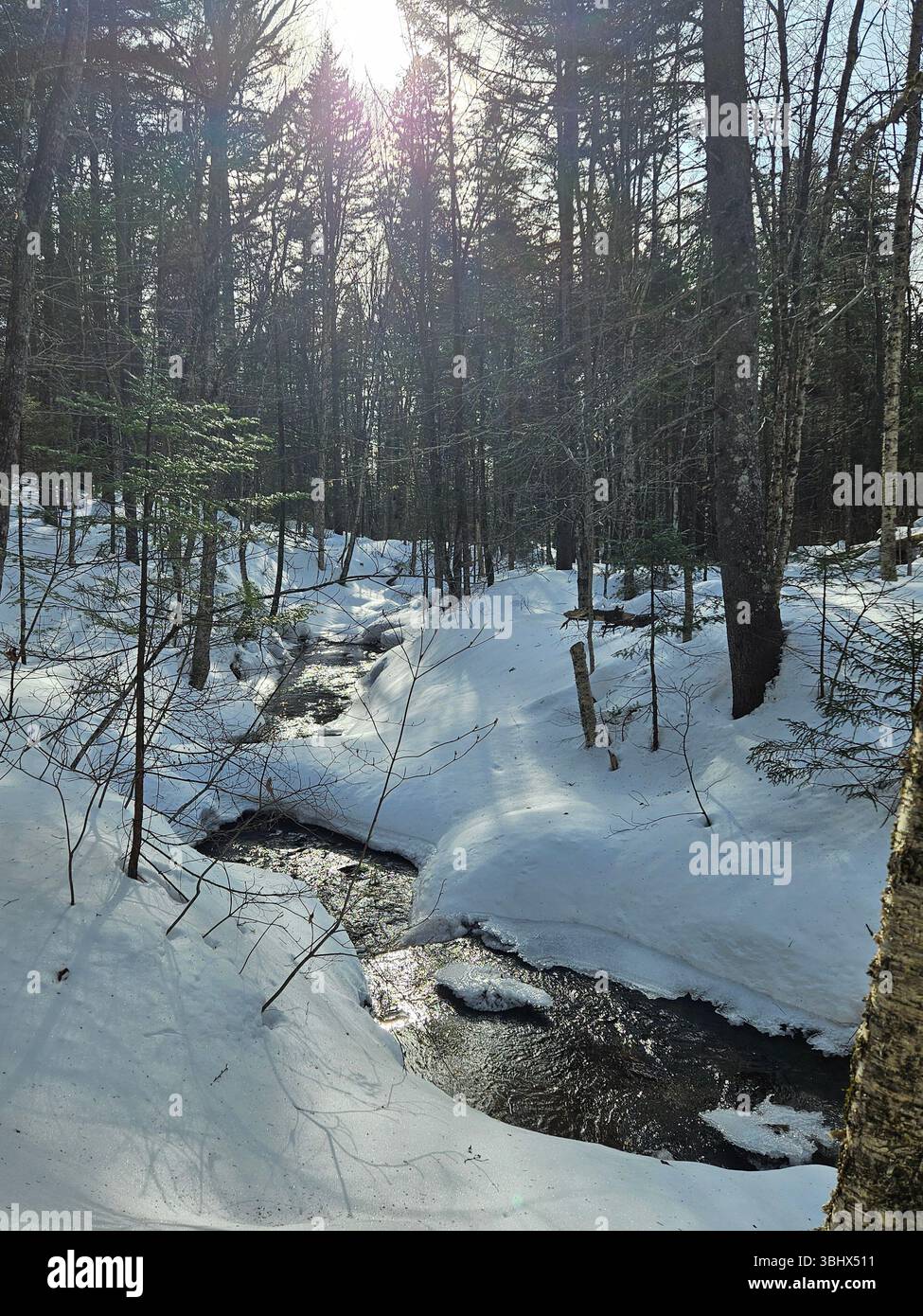 Frozen stream in boreal hi-res stock photography and images - Alamy