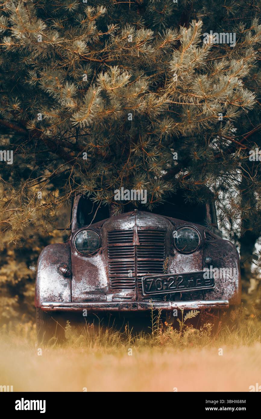 Old soviet rusty car abandoned in the forest Stock Photo - Alamy