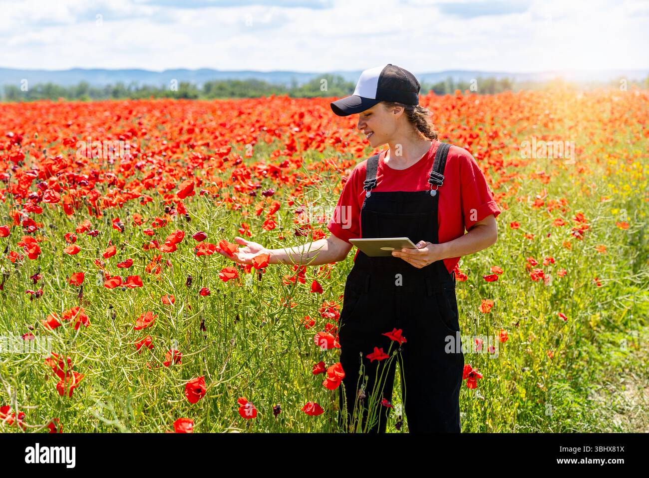 Female environmental scientist with tablet standing by red poppy field ...