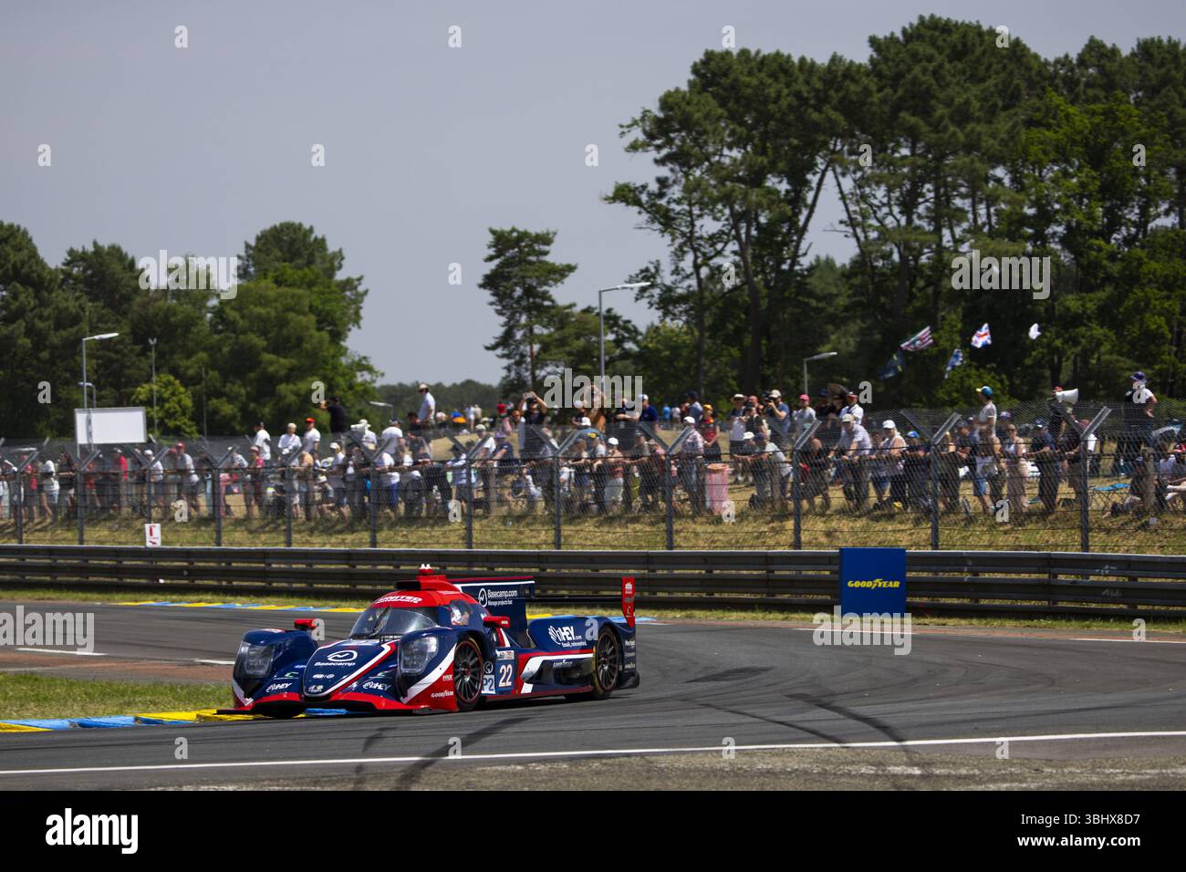 22 VAN DER ZANDE Renger (ned), FITTIPALDI Pietro (usa), HEINEMEIER ...