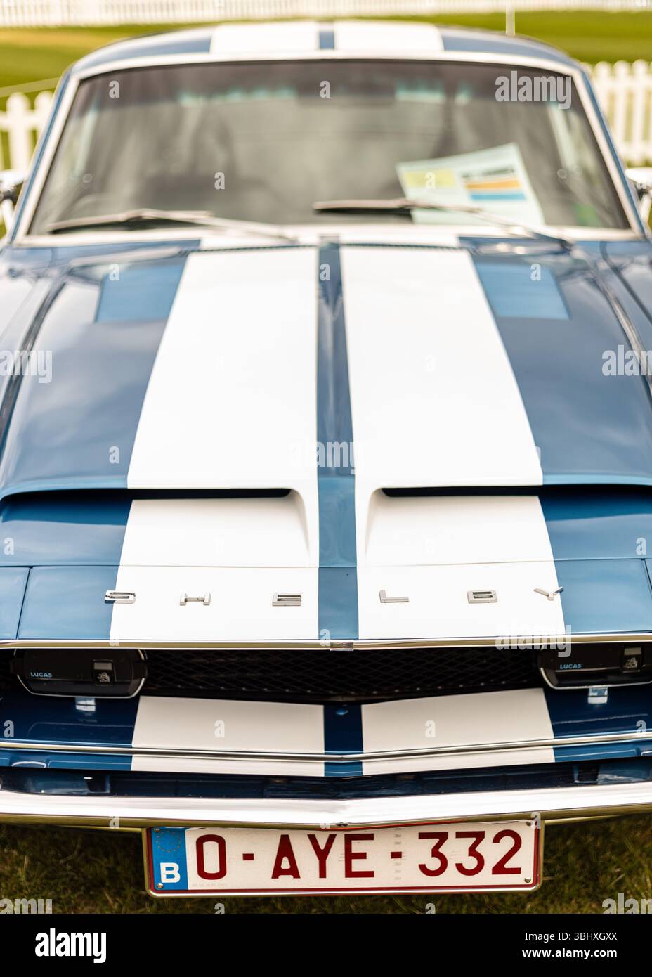 A Ford Shelby Mustang in the Fast Fords category at the London Concours ...