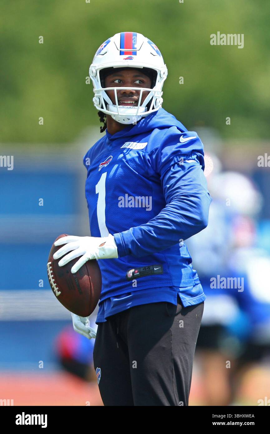 Buffalo Bills wide receiver Curtis Samuel (1) looks on during NFL ...