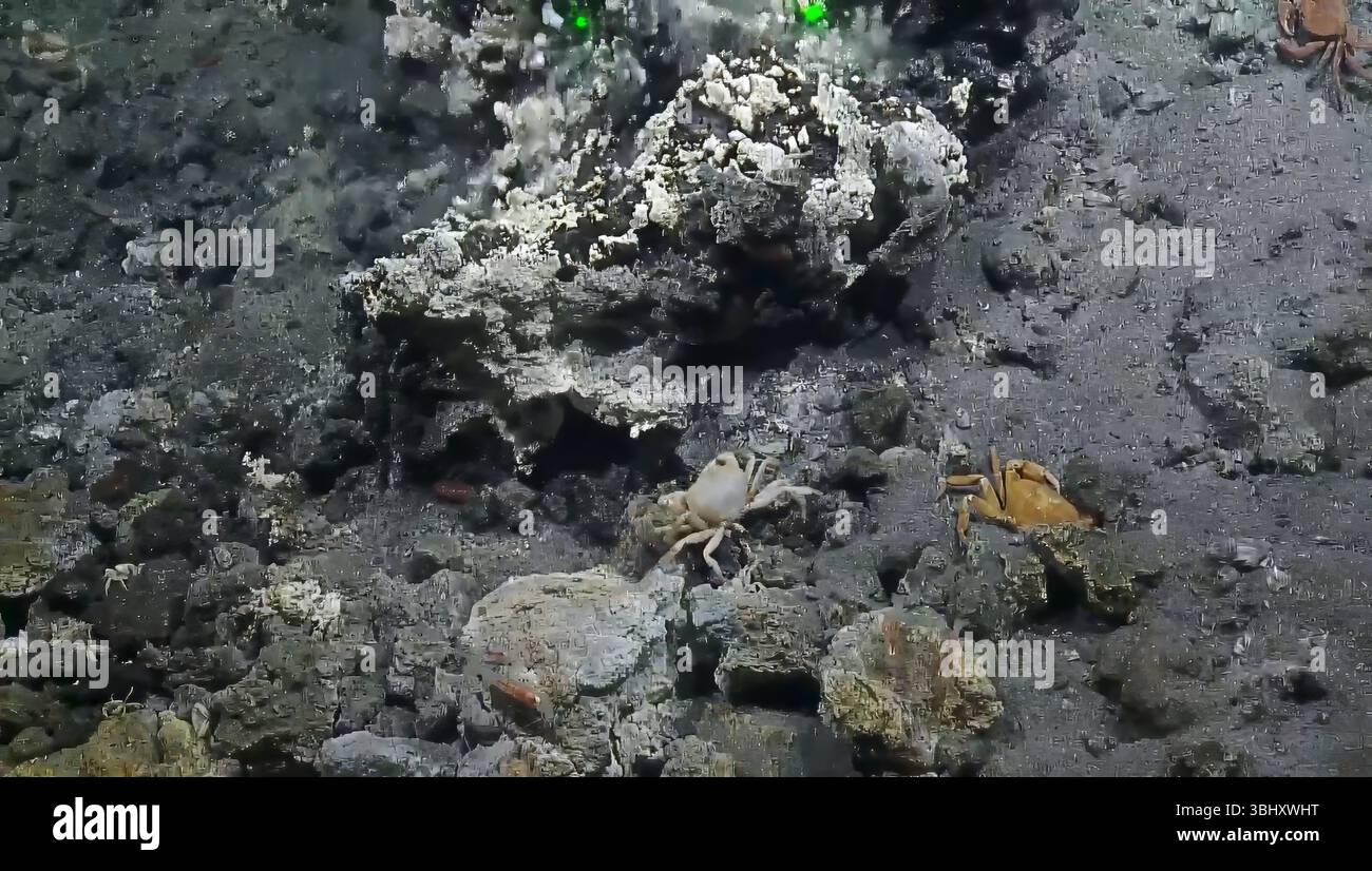 Deep Sea Hydrothermal Vent Deep Ocean Exploration Mariana Trench 2025 ...