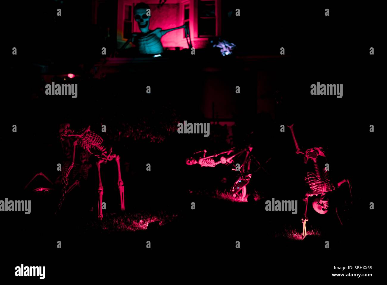 Creepy Skeleton Scene with Pink Lighting in Spooky Halloween Display ...